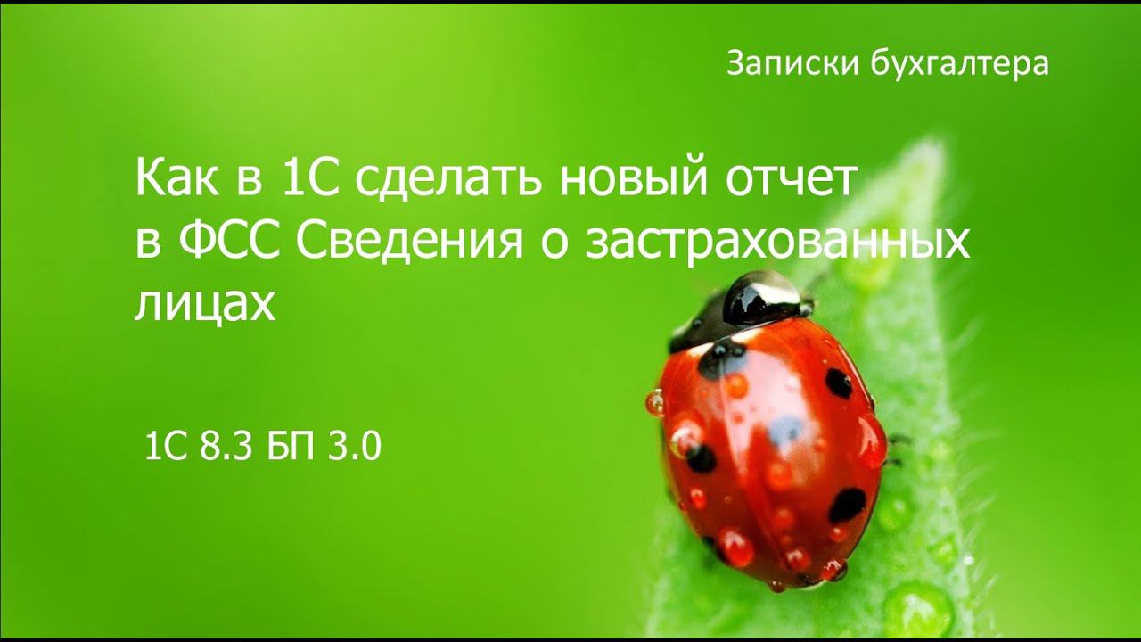 Как в 1С сделать новый отчет в ФСС о застрахованных лицах