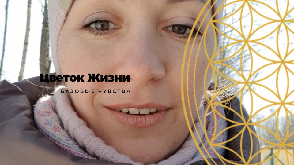 Базовые чувства - Мандалы Света