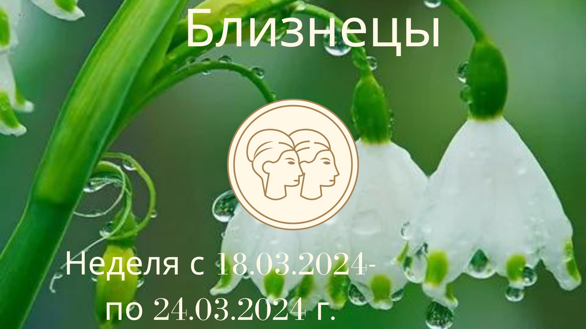 Близнецы. Гороскоп на неделю с 18 марта по 24 марта 2024 года.