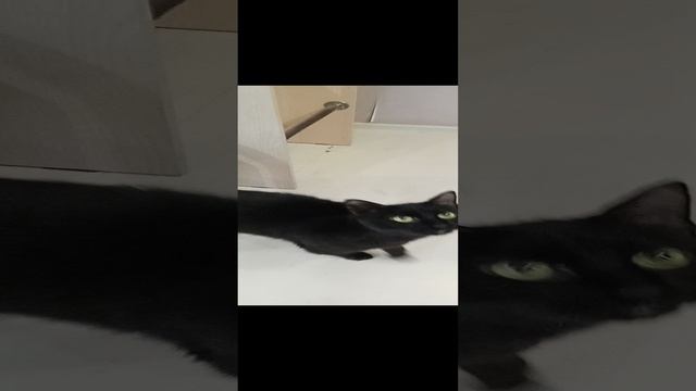 Вот так мы проводим день ????????