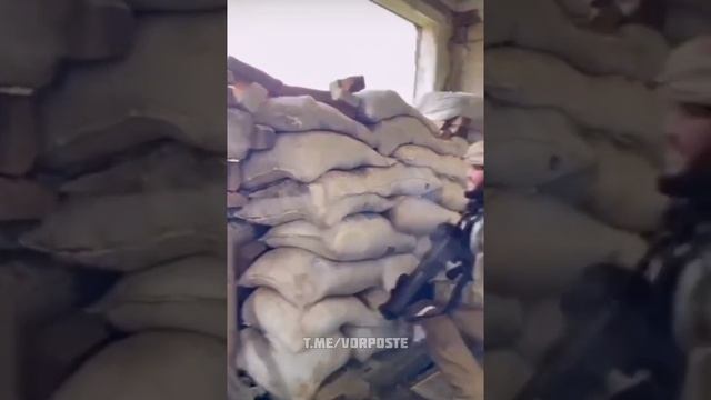Донбасс.