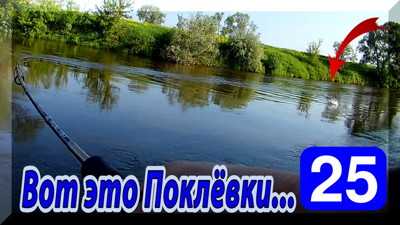 Красивые поклевки голавля на спиннинг! ГОЛАВЛИ Клюют резко и дерзко!