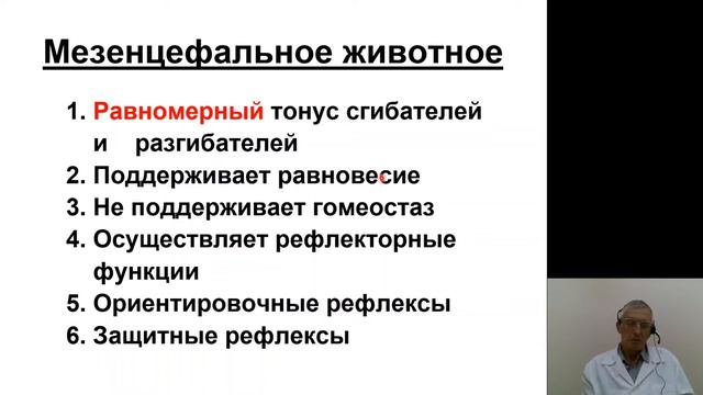 Нормальная физиология 4. Обзор функций ЦНС