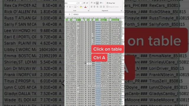 How to Auto Adjust Widths in Excel with seconds I #excel #exceltips #spreadsheet #exceltricks