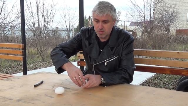 вращение яиц.mp4