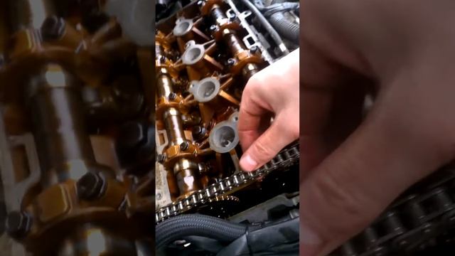 Проблема с цепью Z22SE
