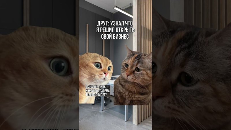 Используй код YTEST для бесплатного тестирования продукта в SplitTest