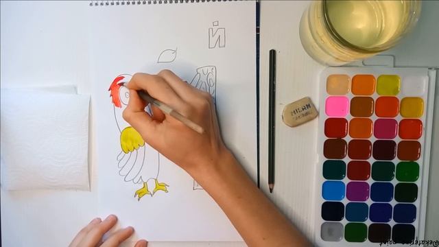 Буква Й. Попугай