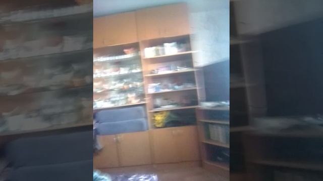 сабака