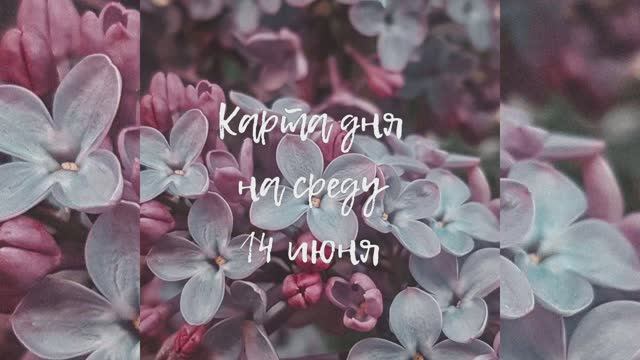 Карта дня на 14 июня