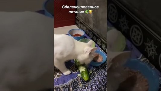 правильное питания