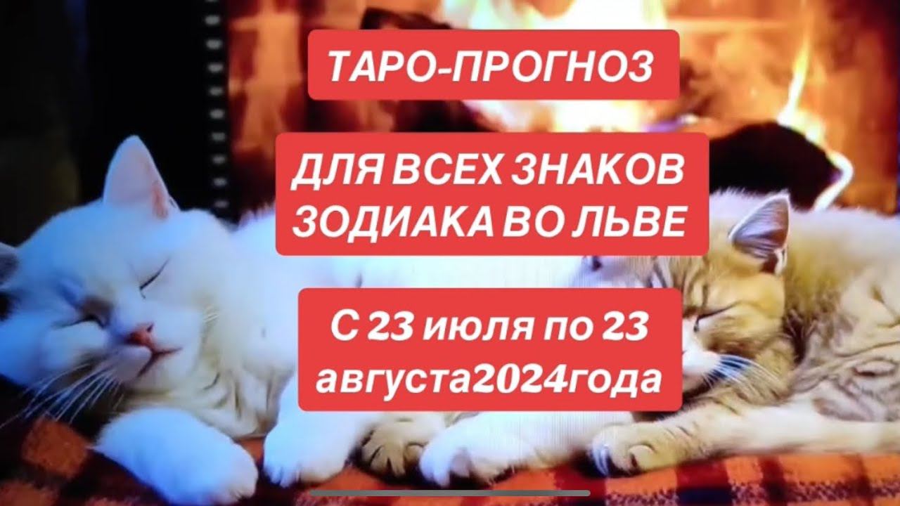 ПРОГНОЗ ОТ КОТИКОВ
