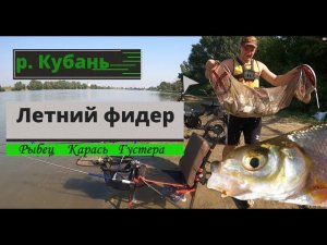 Летняя рыбалка на Кубани ловля рыбца вимбы густеры и карася Август Краснодар