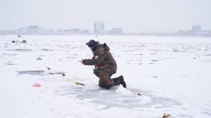 Ловля корюшки зимой: лунки, снасти, огурцы! Зимняя рыбалка на Финском заливе