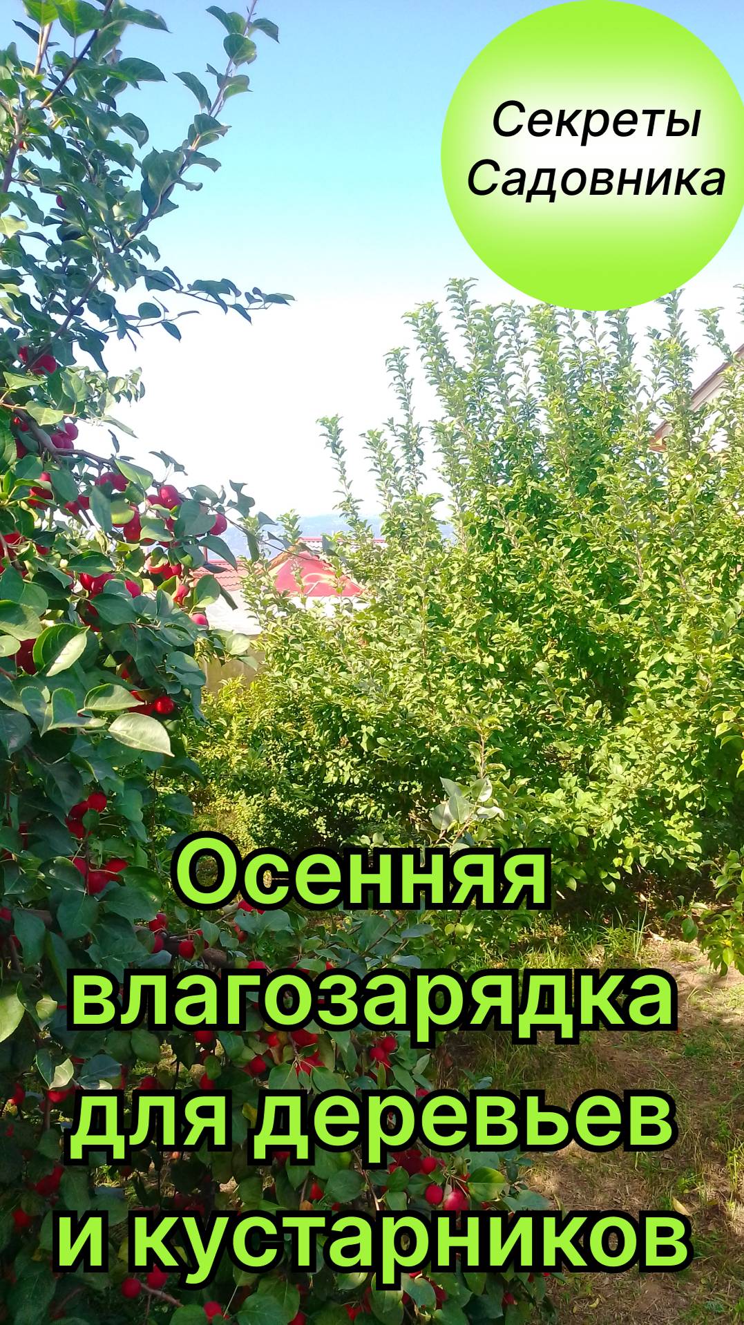 Осенняя влагозарядка