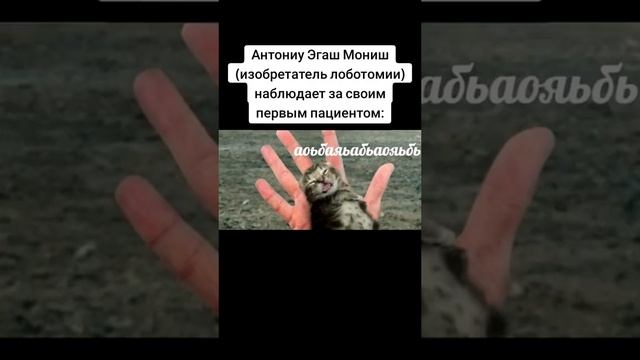 ты счастлив?? #rec #shorts #memes #юмор #приколы #мемы