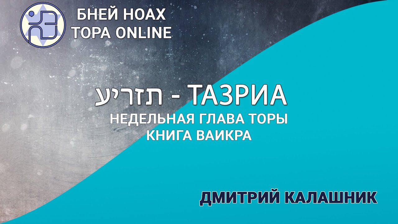 Недельная глава Торы - Парашат а-шавуа - "ТАЗРИА" 5784/2024. Дмитрий Калашник