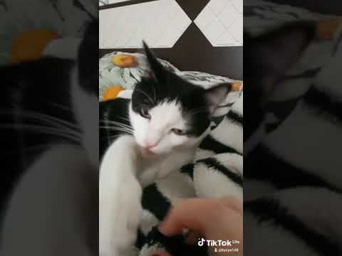 КУЗЬМА КУЗЬМИЧ!