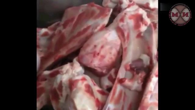 Измельчитель для кости PSS RK-132