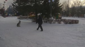 VID_20211121_141858.mp4