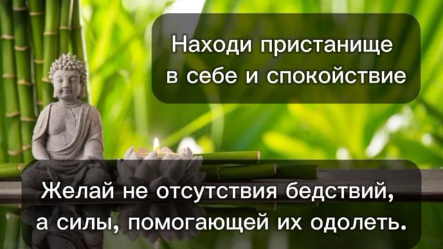 Цитаты от расстройства. под музыку Сякухати
