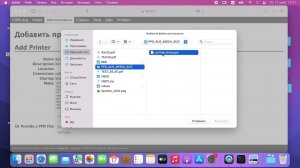 Установка драйвера и размеров этикеток Xprinter XP-365B на MacOS (для серии XP-3xx, XP-4xx)