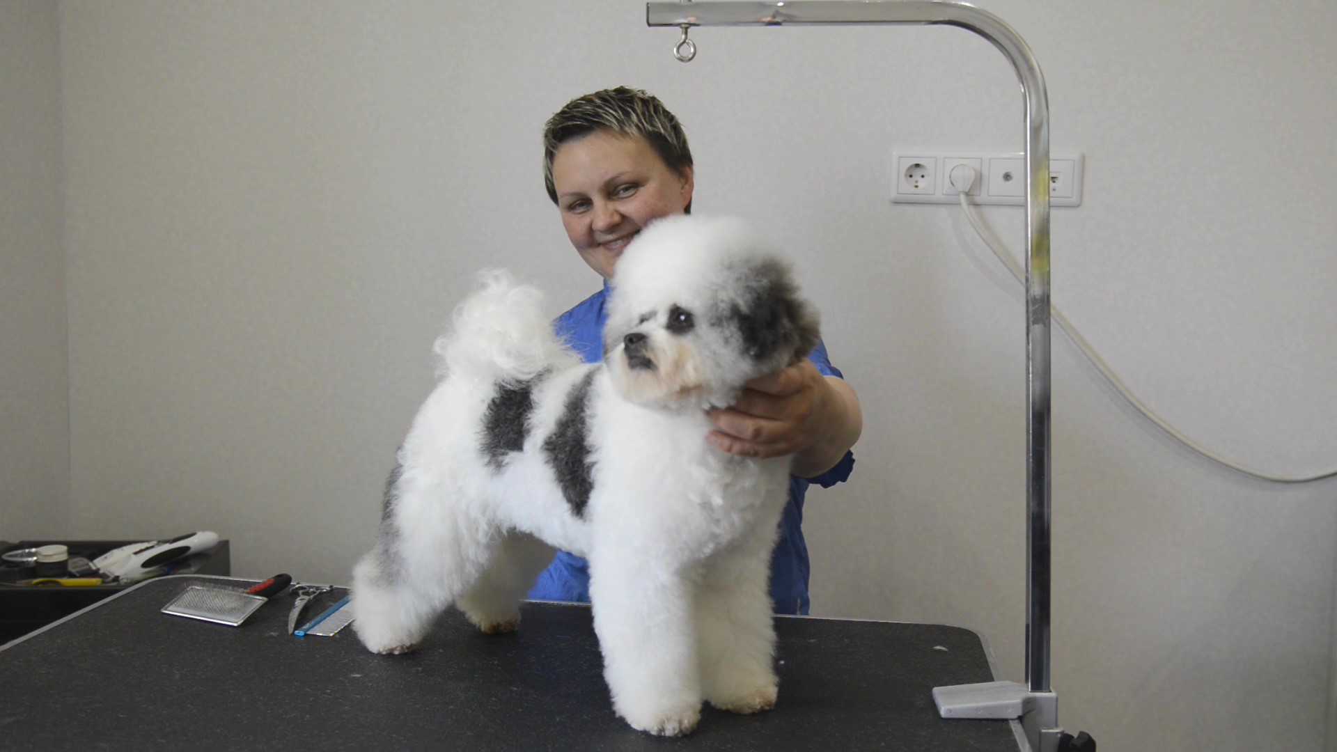 Почему стоит мыть собаку шампунем-концентратом GROOMER professional? Посмотрите на результат!