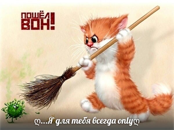 корона вирус с юмором и позитивом. часть 2.