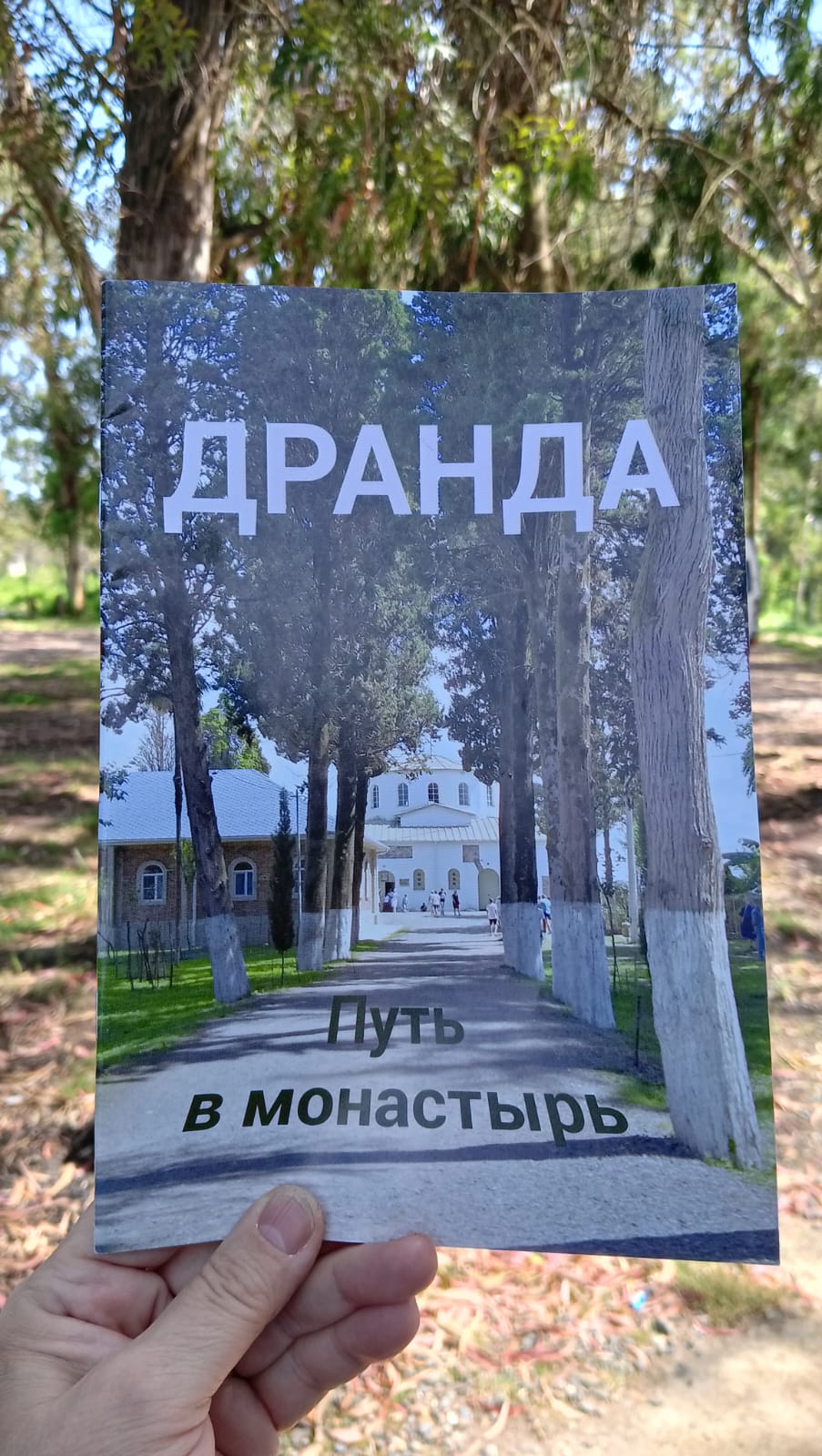 Абхазия  Монастырь Дранда  20240528