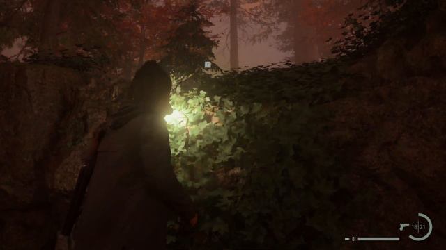 Alan Wake 2 - 20