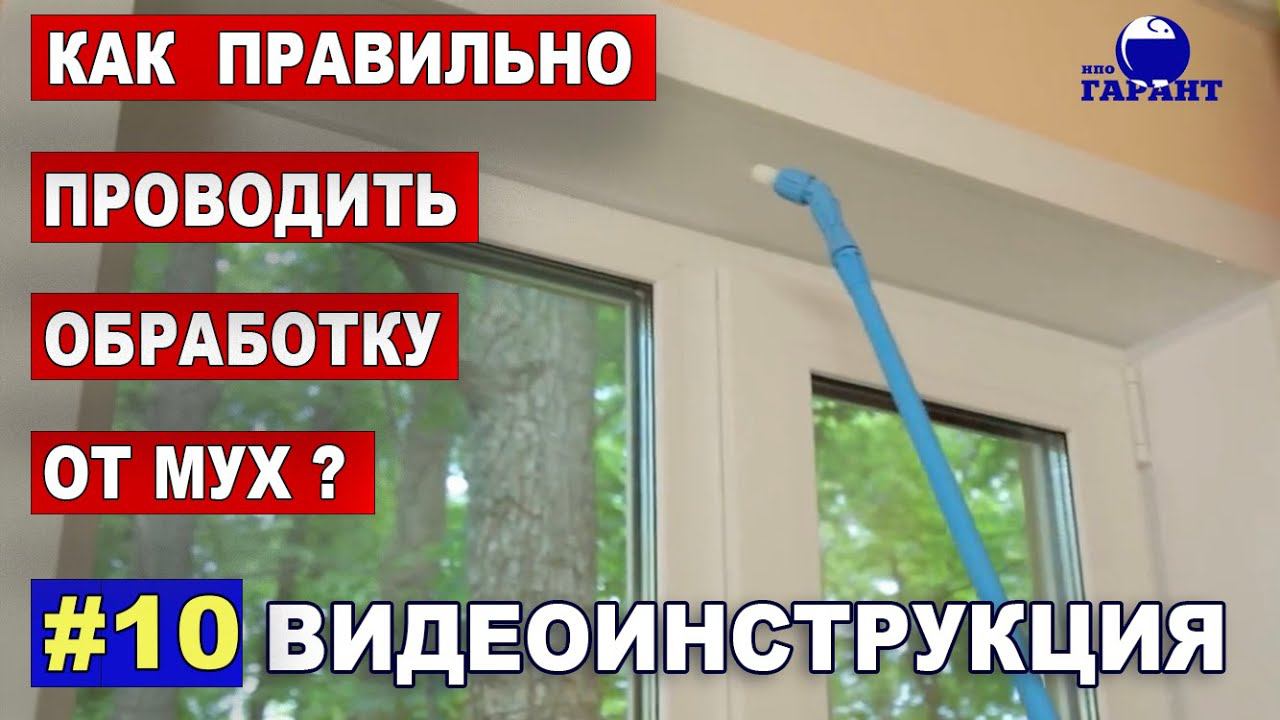 Как правильно проводить обработку от мух? Методы борьбы с мухами. Как эффективно избавиться от мух?