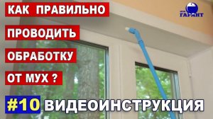 Как правильно проводить обработку от мух? Методы борьбы с мухами. Как эффективно избавиться от мух?