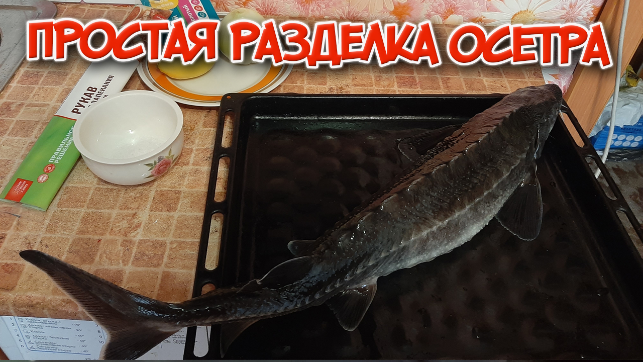 Как быстро почистить осетра без заморочек. Что важно знать!