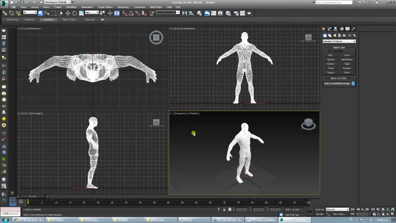 Anat Vol 01 01  Scale
