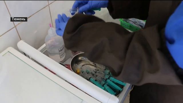 Интервью Ирины Чайковской
