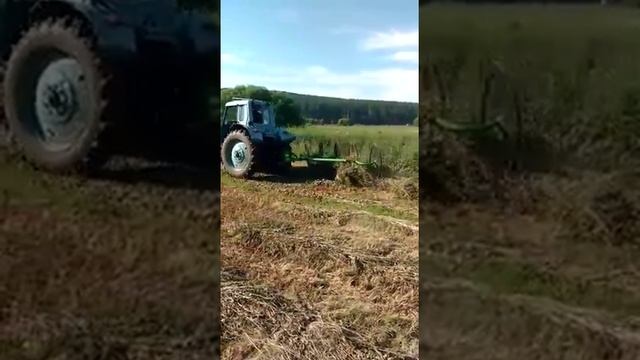 Грабли солнышко, сгребание сена.