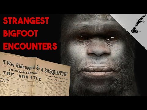 5 Strangest Bigfoot Encounters in History
