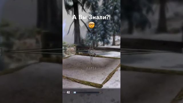 Самая Секретная Секретка из ВСЕХ Секреток в Скайриме #стрим #skyrim #tesugames