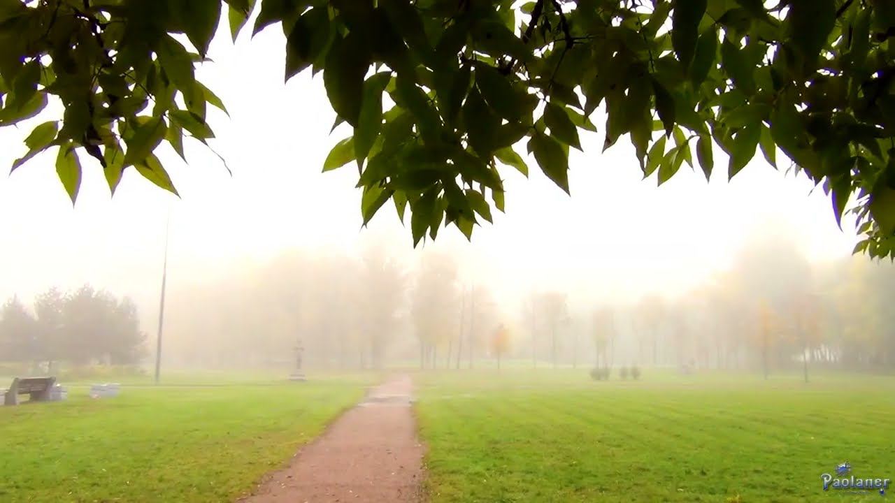 Песня «Диалог в тумане»