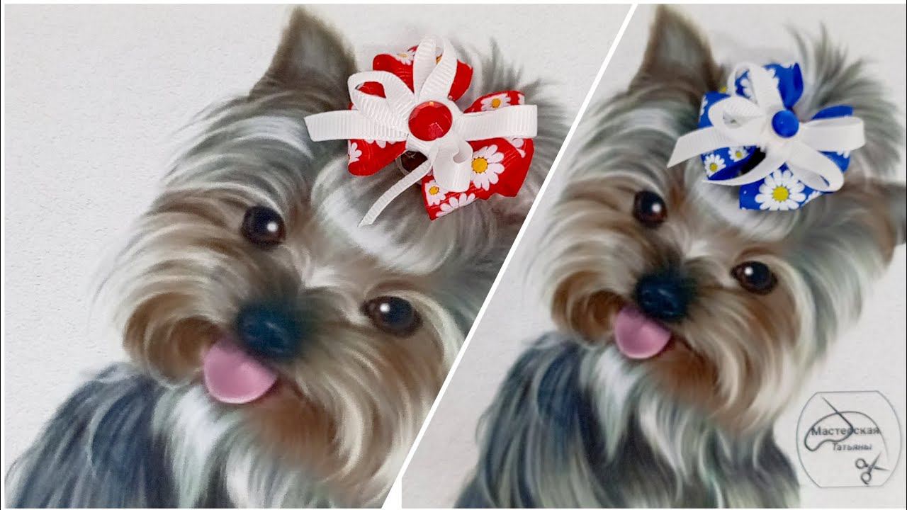 МК. Необычные и не повторимые бантики для животных из репсовой ленты.