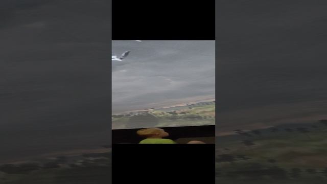 VID_20230424_151651.mp4