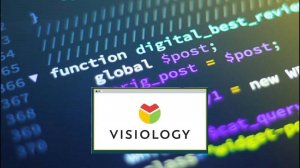 7. Visiology. Бюджетирование сверху вниз. Python script в вычислениях