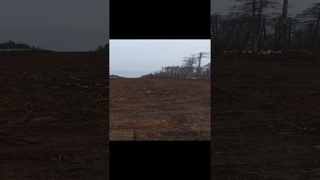 ВЗРЫВ ОКОЛО ТРУБЫ... - EXPLOSION NEAR THE PIPE... ?