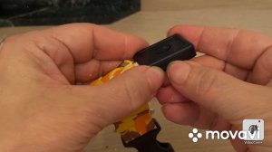 Ошейники светящиеся.