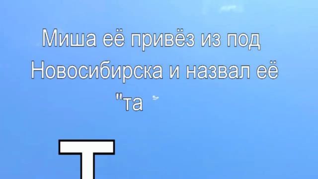 Бой белой в голубятне. Моя линия бойных голубей.Нефтекамск. (1)