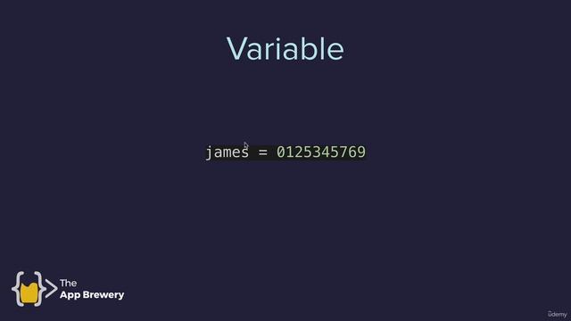 Day 1 - 13-Python Variables