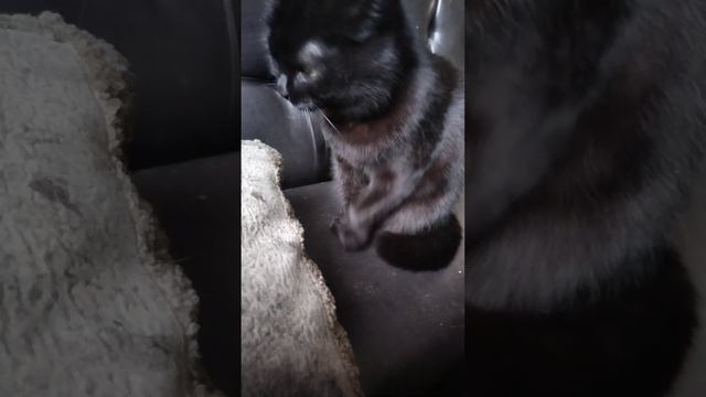 Зачем нам гости