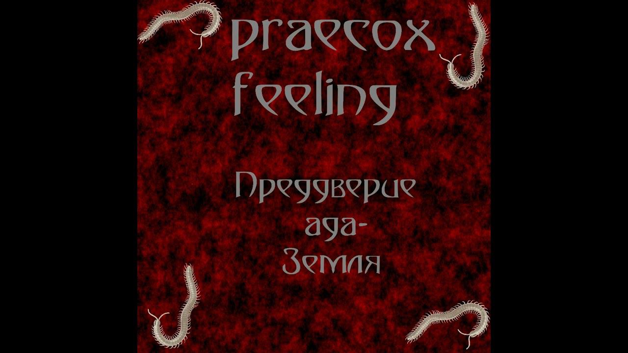 Praecox Feeling-Кошачья смерть
