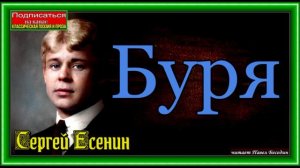 Буря , Сергей Есенин, Русская Поэзия ,читает Павел Беседин