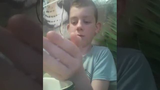 Я делаю котлеты